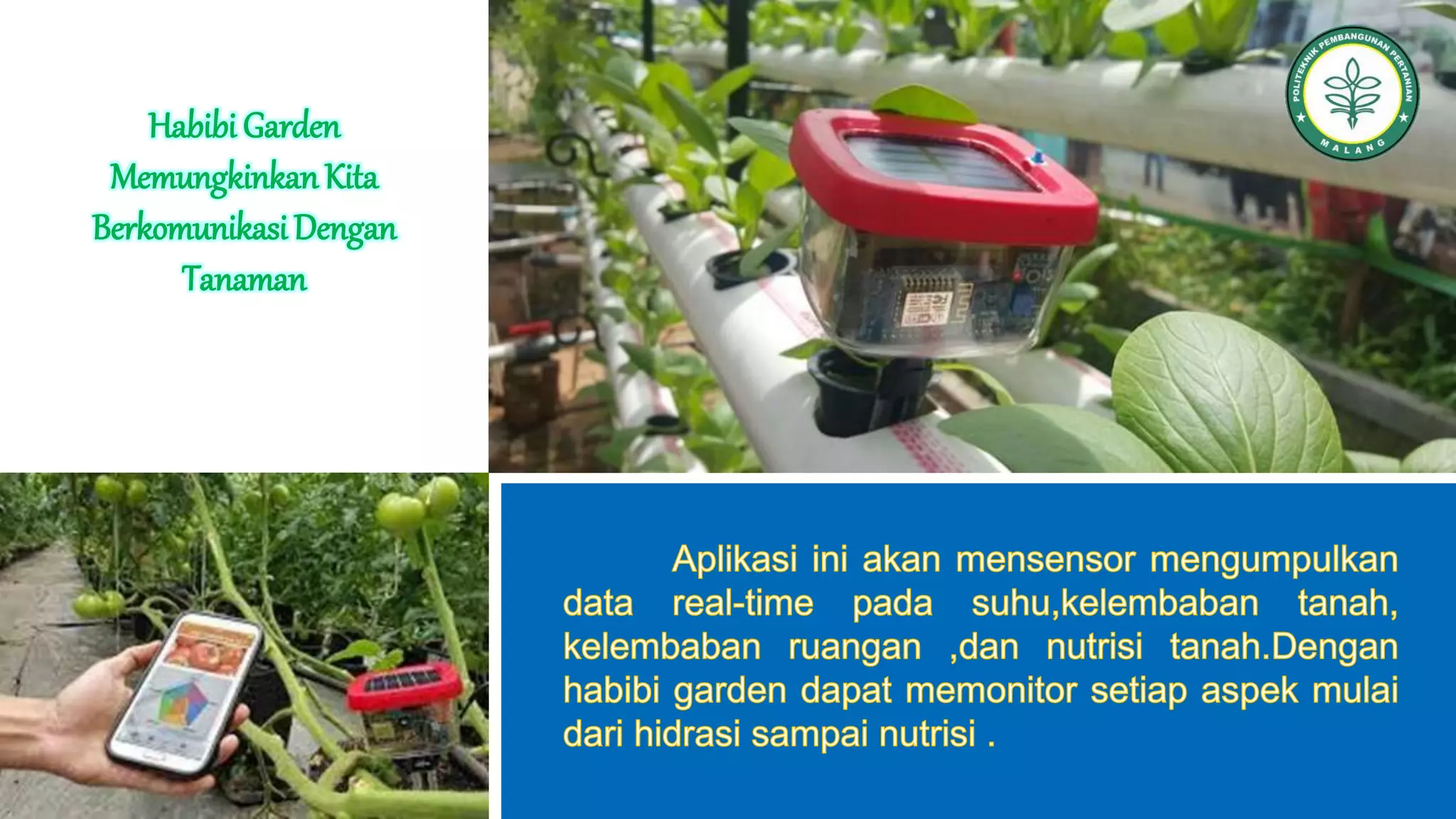 PENGGUNAAN APLIKASI HABIBI GARDEN | PPTX