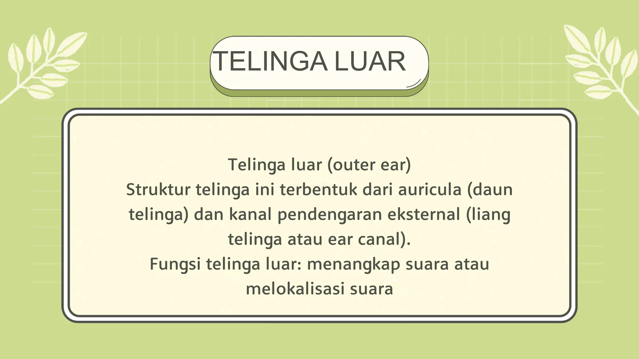 Anatomi Fisiologi_ Indera Pendengaran PPT | PPTX