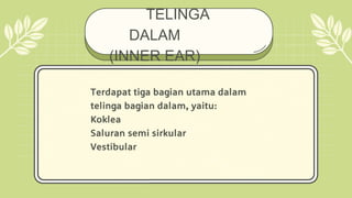 Anatomi Fisiologi_ Indera Pendengaran PPT | PPTX