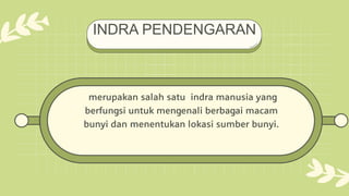 Anatomi Fisiologi_ Indera Pendengaran PPT | PPTX