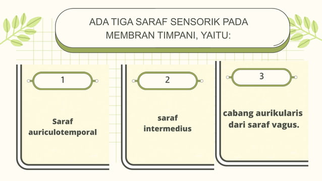 Anatomi Fisiologi_ Indera Pendengaran PPT | PPTX