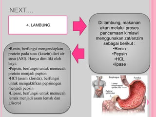 ppt anfisman kel 4.pptx