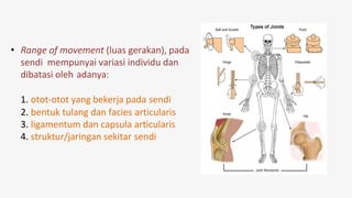 Anatomi Fisiologi pada Sistem Muskulo.pdf