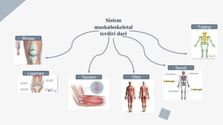 Anatomi Fisiologi pada Sistem Muskulo.pdf