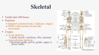 Anatomi Fisiologi pada Sistem Muskulo.pdf