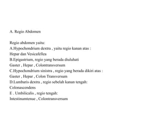 PPT ANFIS SISTEM PENCERNAAN. lengkappptx | PPTX