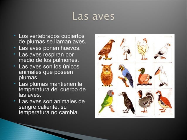 0Ppt animales vertebrados e invertebrados | PPS