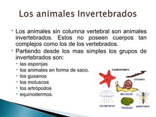 0Ppt animales vertebrados e invertebrados | PPS