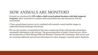 ppt(ANIMAL MONITORING).pptx
