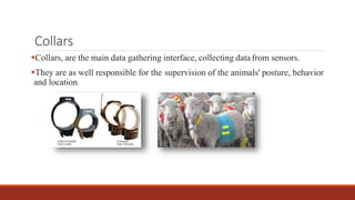 ppt(ANIMAL MONITORING).pptx