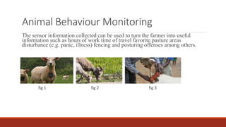 ppt(ANIMAL MONITORING).pptx