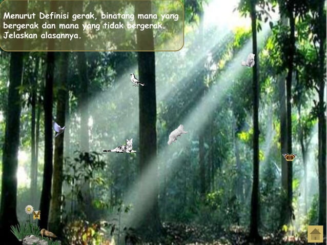 Ppt animasi gerak lurus | PPTX