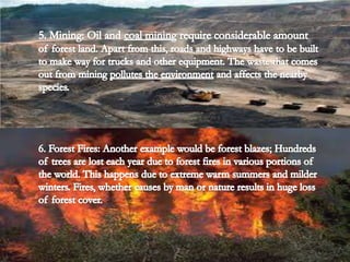 Forest Conservation Animated Ppt Pptx