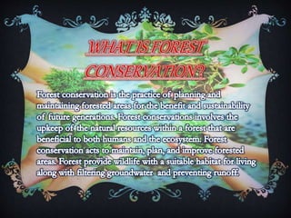 FOREST CONSERVATION (ANIMATED)- PPT | PPTX