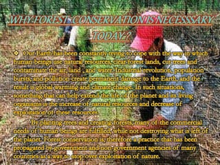FOREST CONSERVATION (ANIMATED)- PPT | PPTX