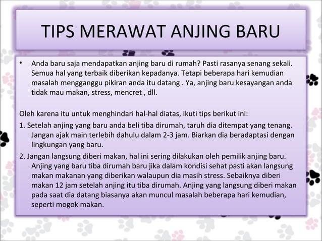 Ppt anjing | PPT