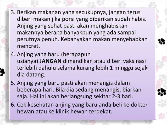 Ppt anjing | PPT