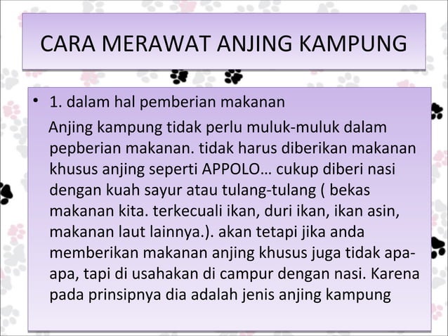Ppt anjing | PPT