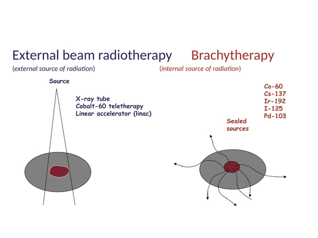 Principles of Oncology and the basics of Oncology.pptx