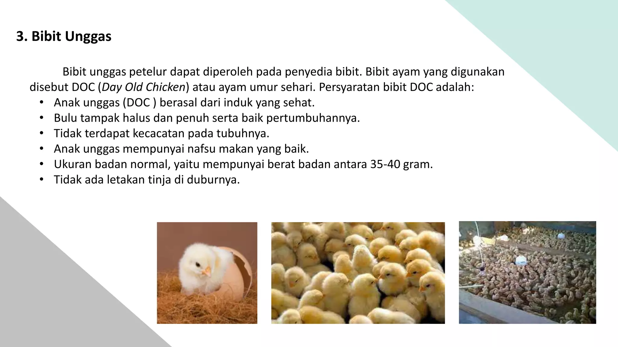 PPT ANS FIX.pptx | Free Download