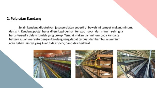 PPT ANS FIX.pptx | Free Download