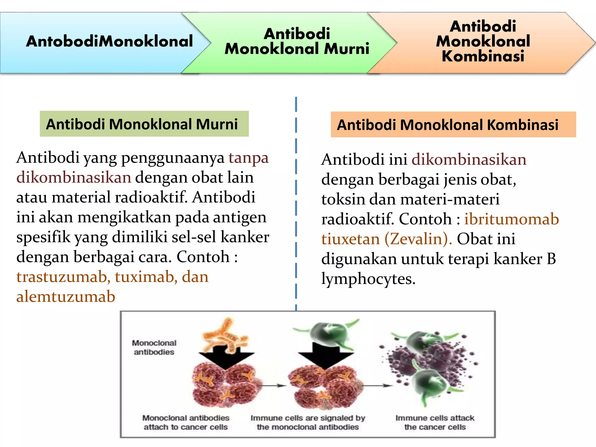 Powerpont Antibodi Monoklonal | PPTX