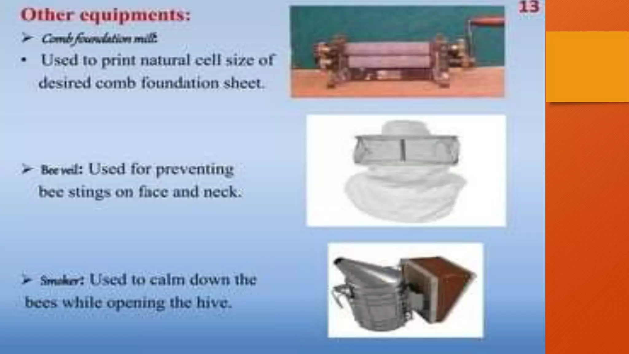 ppt apiculture.ppt