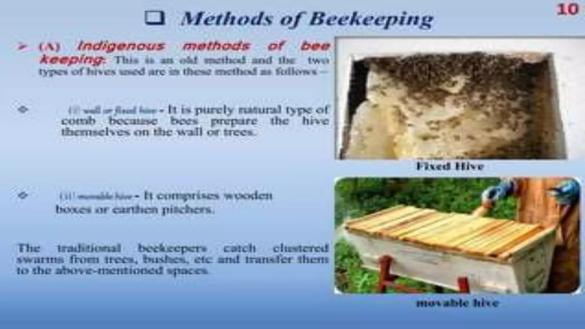 ppt apiculture.ppt