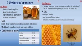 ppt apiculture.ppt