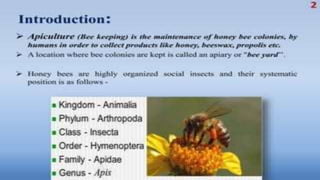 ppt apiculture.ppt