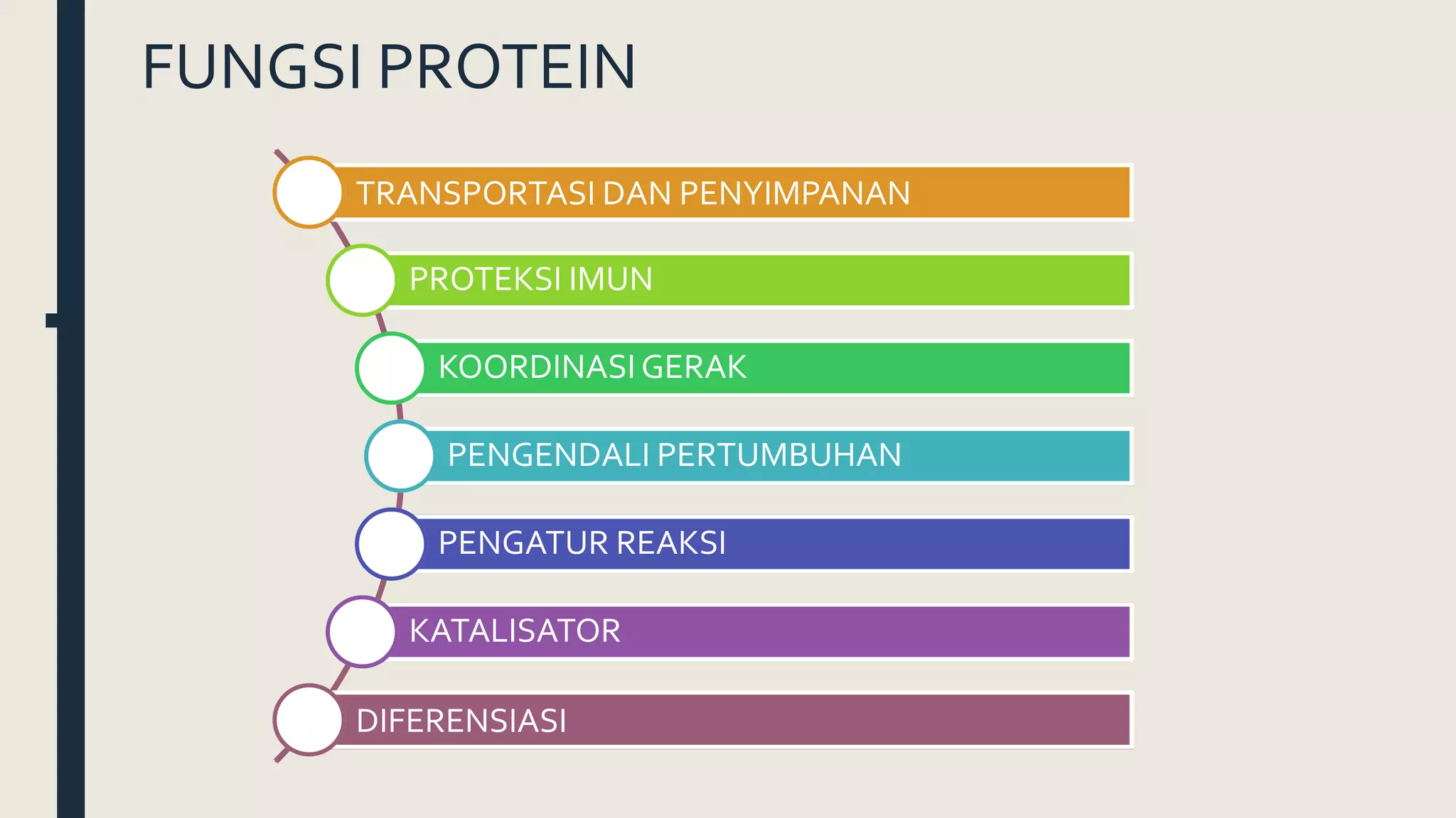 PPT PROTEIN | PPTX
