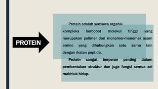 PPT PROTEIN | PPTX