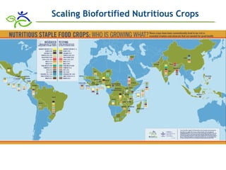 Biofortification in action | PPT | Agriculture | Industries