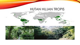 PPT Biosfer "persebaran flora dan fauna" | PPTX