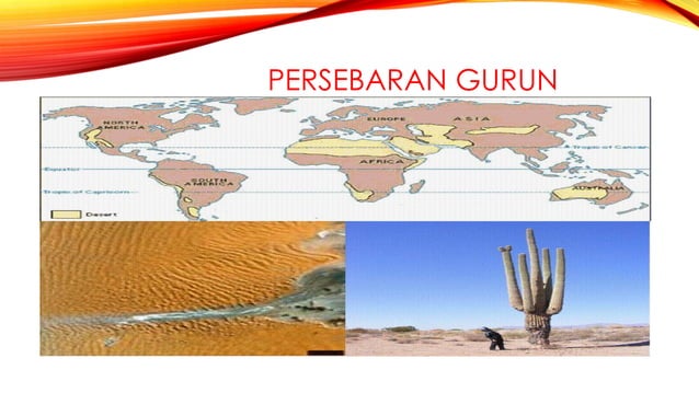 PPT Biosfer "persebaran flora dan fauna" | PPTX