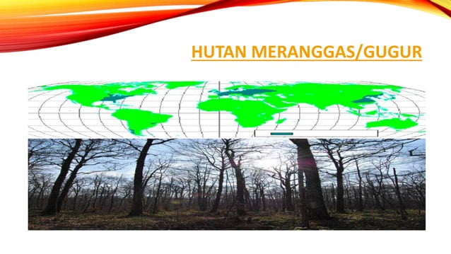 PPT Biosfer "persebaran flora dan fauna" | PPTX