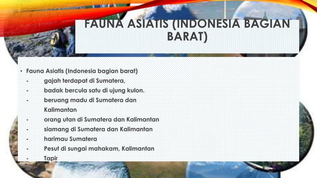 PPT Biosfer "persebaran flora dan fauna" | PPTX
