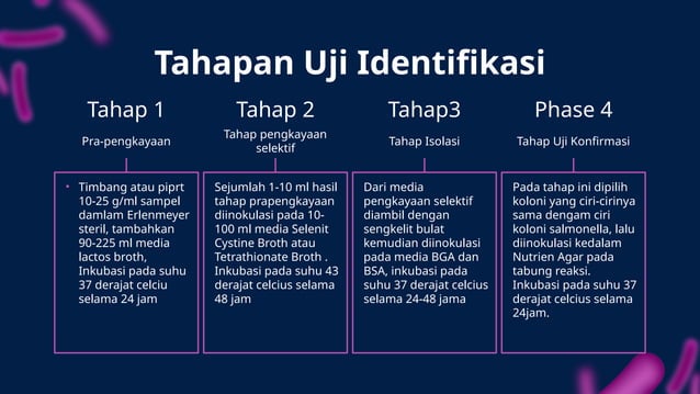 PPT taksonomi bakteri Salmonellan dan cara identifikasinya | PPT