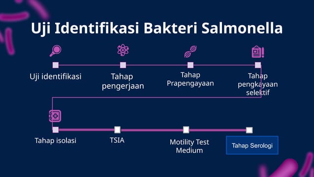 PPT taksonomi bakteri Salmonellan dan cara identifikasinya | PPT