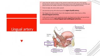 ppt arterial supply of head and neck.pptx