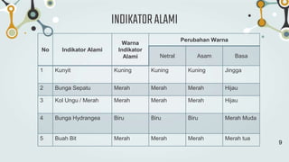 PPT ASAM BASA.pptx