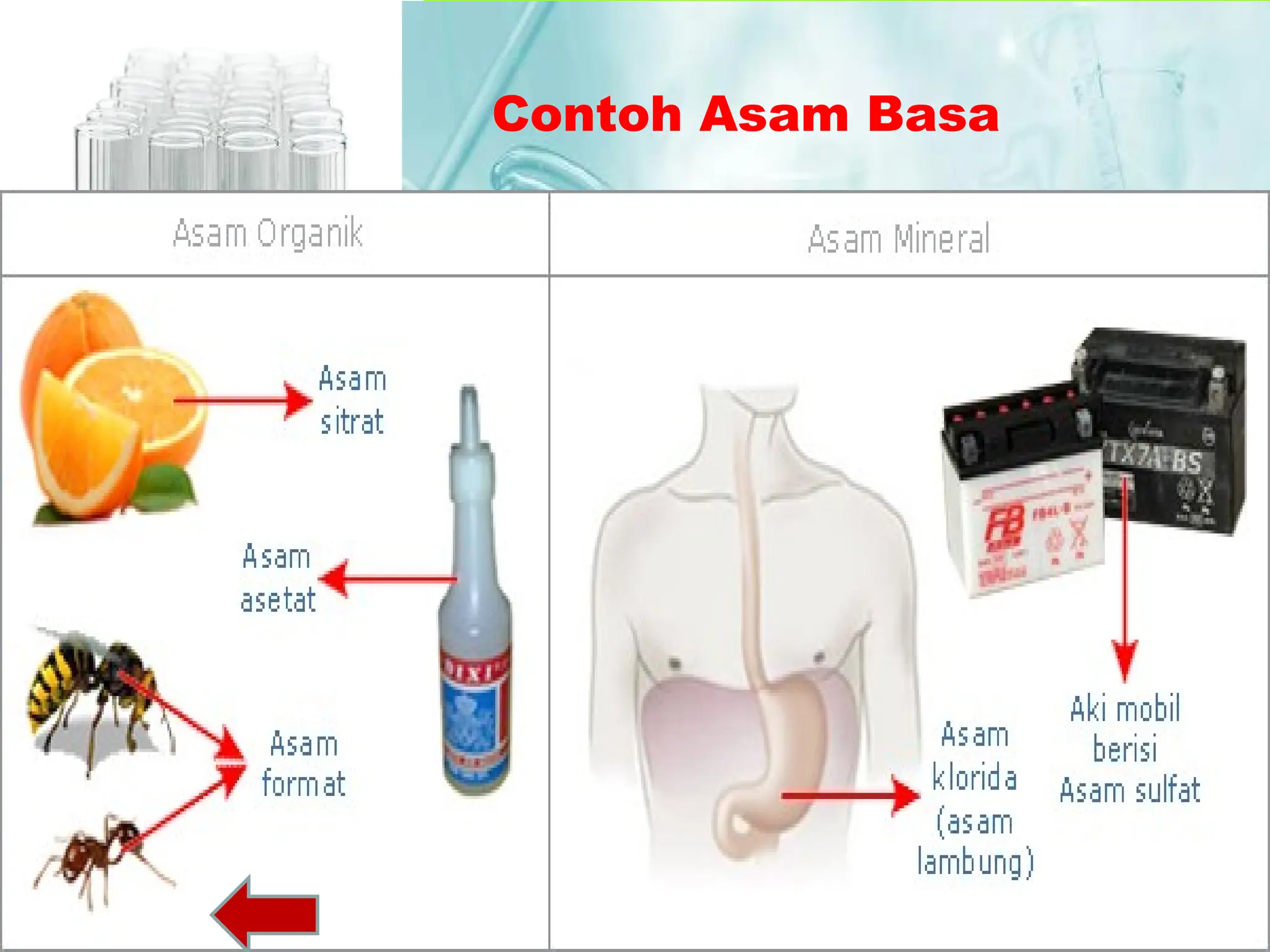 PPT Asam dan Basa Materi Kimia kelas 11 SMA | PPT