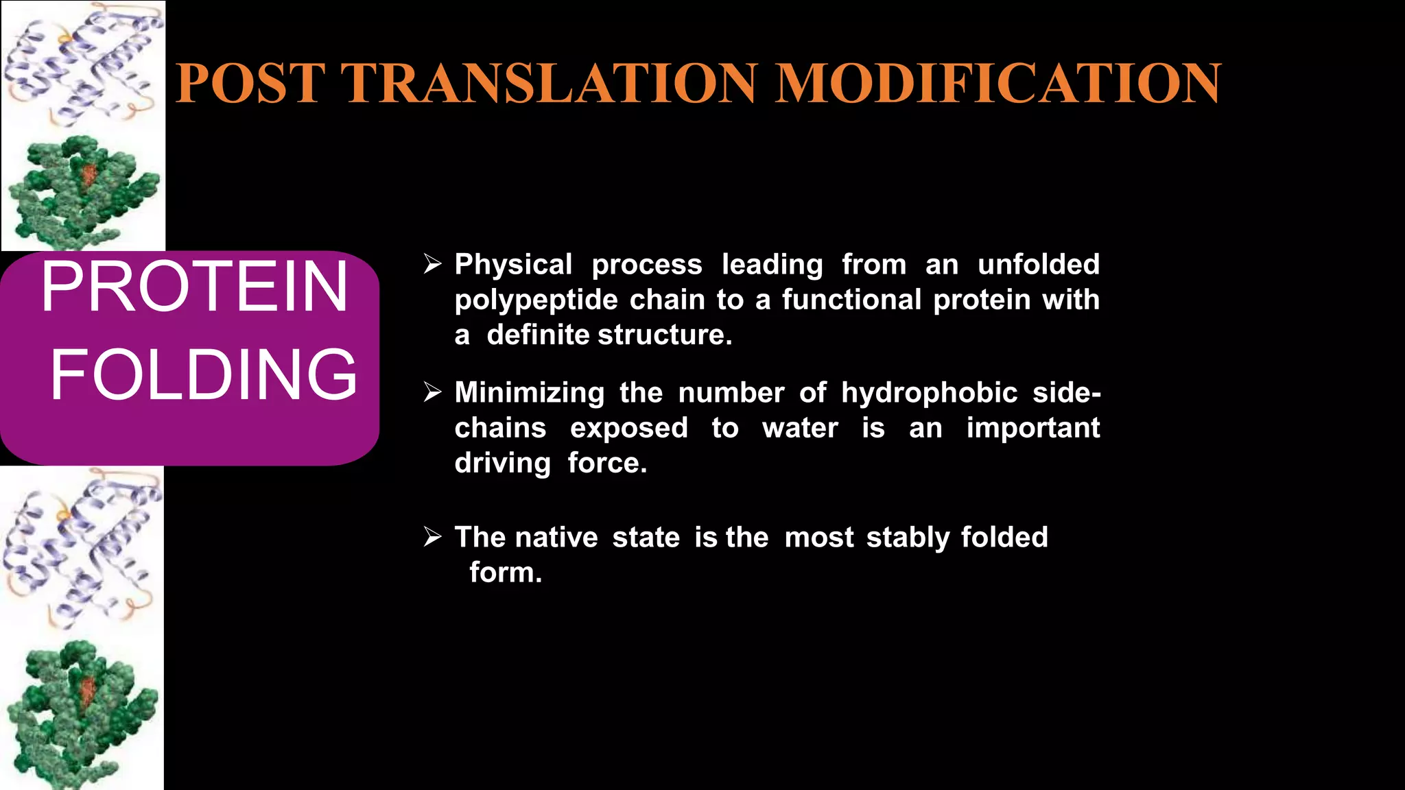 Post translational modification of protein | PPT Post translational modification of protein | PPT