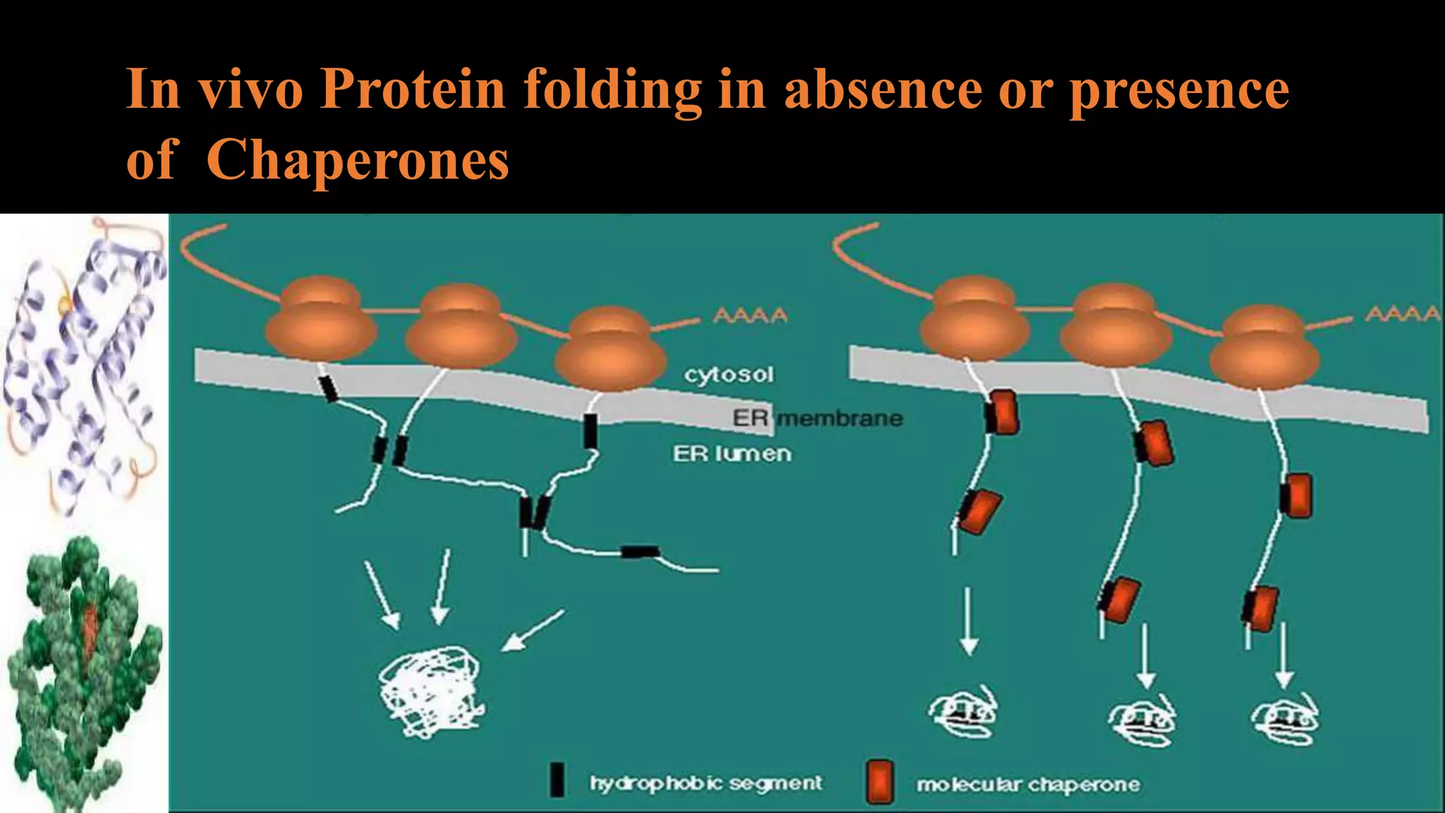 Post translational modification of protein | PPTX