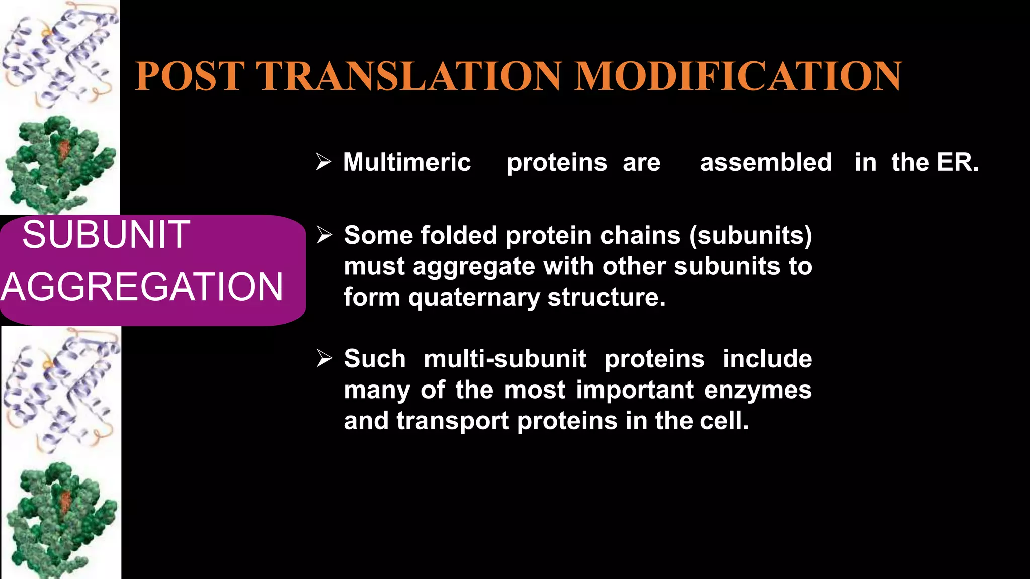 Post Translational Modification Of Protein Pptx