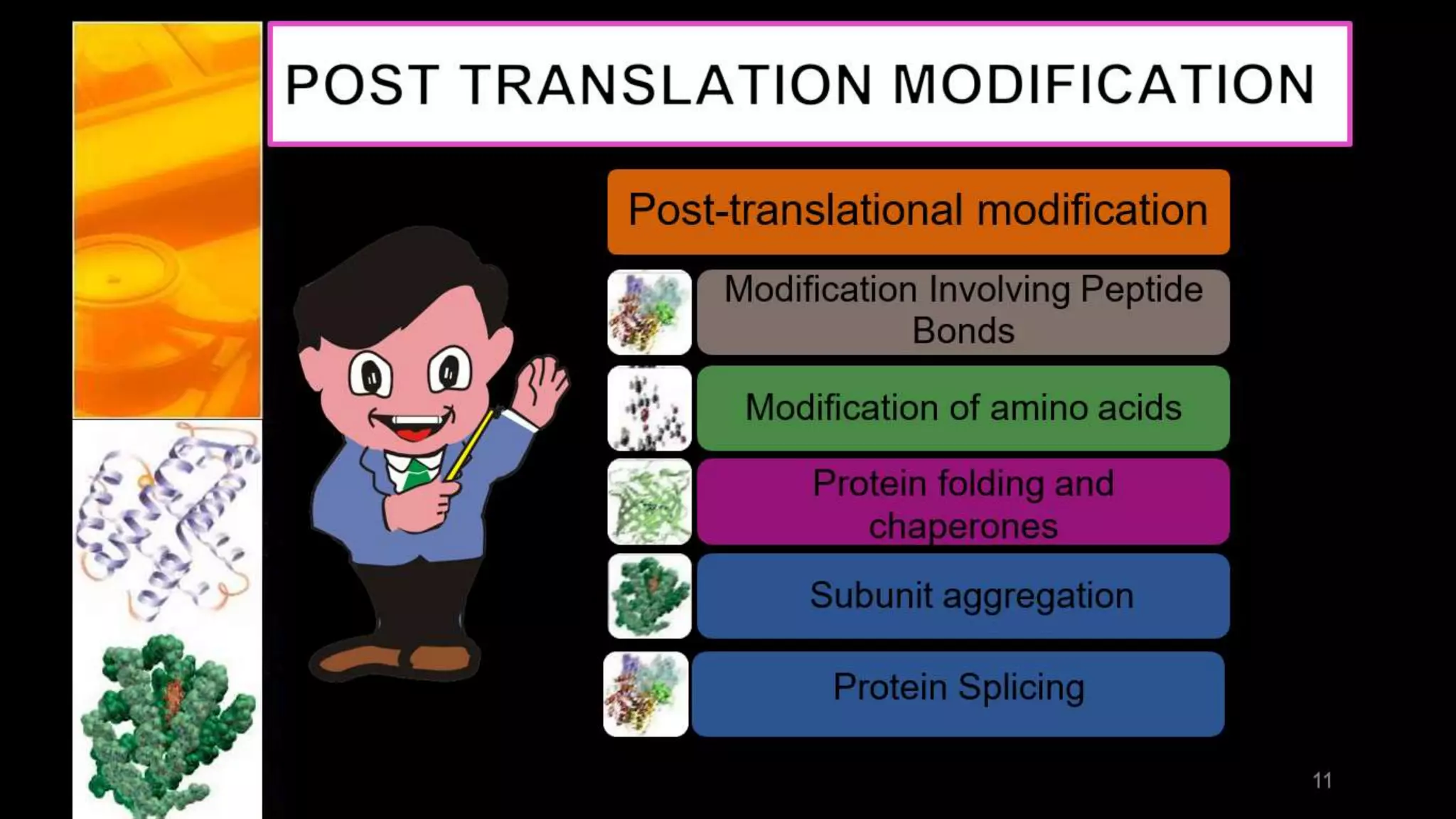 Post Translational Modification Of Protein Pptx