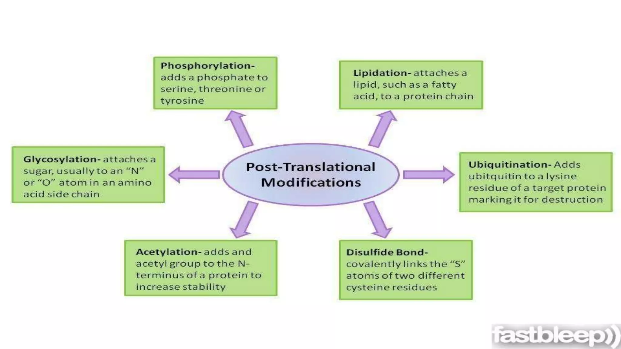 Post translational modification of protein | PPTX