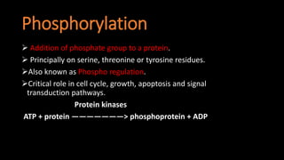 Post translational modification of protein | PPTX