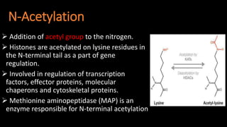Post translational modification of protein | PPTX