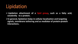 Post translational modification of protein | PPTX